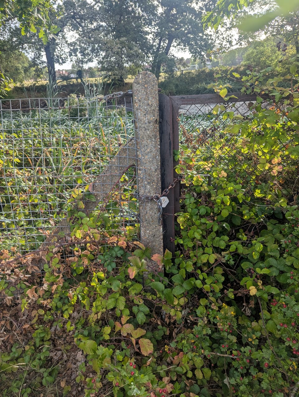 Whitefoot Lane, Downham: push back on plans for crumb rubber football pitch